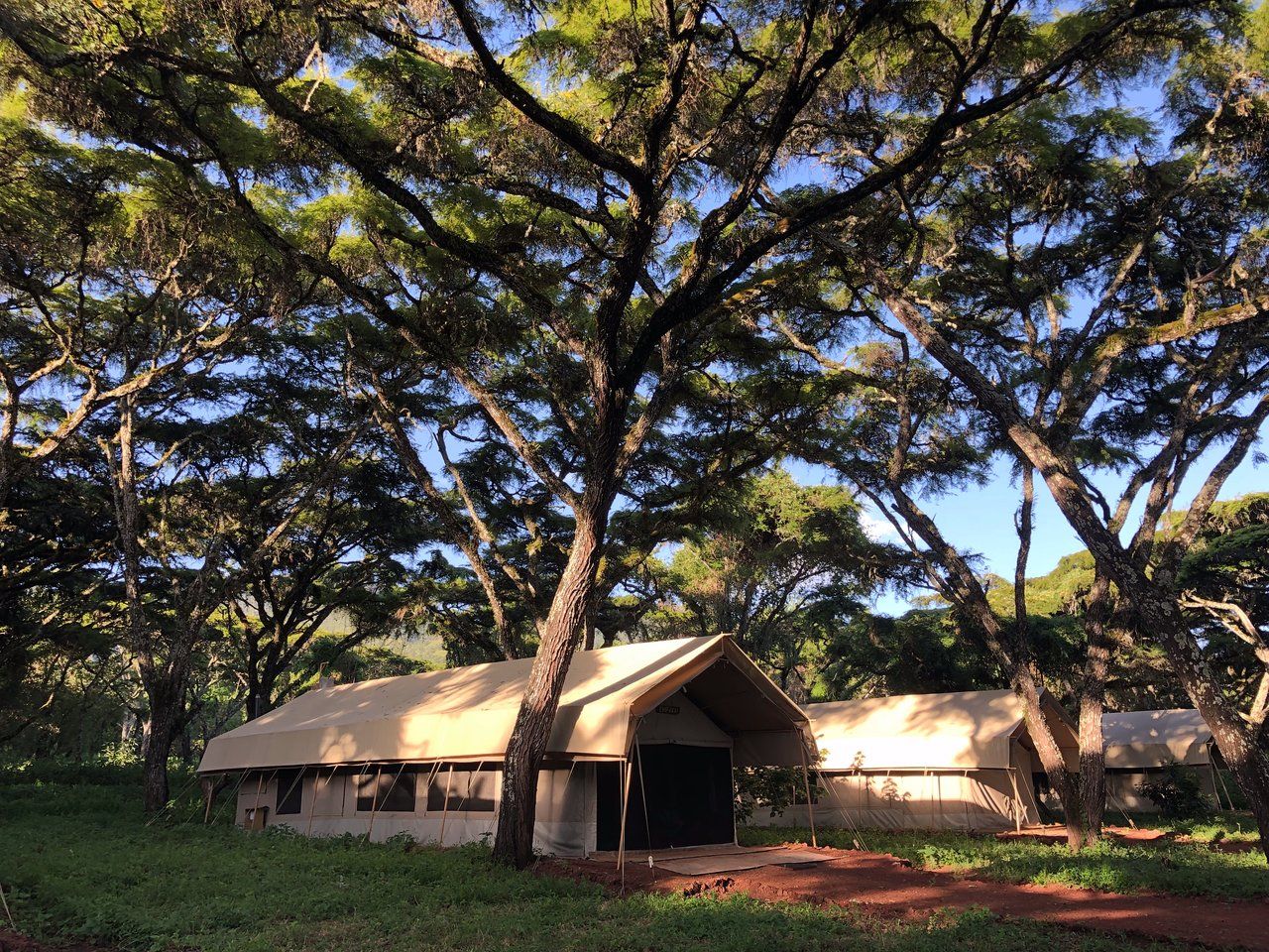 Ngorongoro Tortilis Camp | safari Accommodation | Twinkle Star Tours